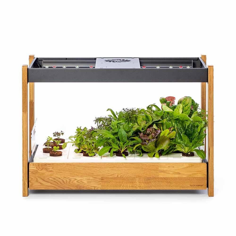 Смарт саксия Click and Grow Smart Garden 25, черна