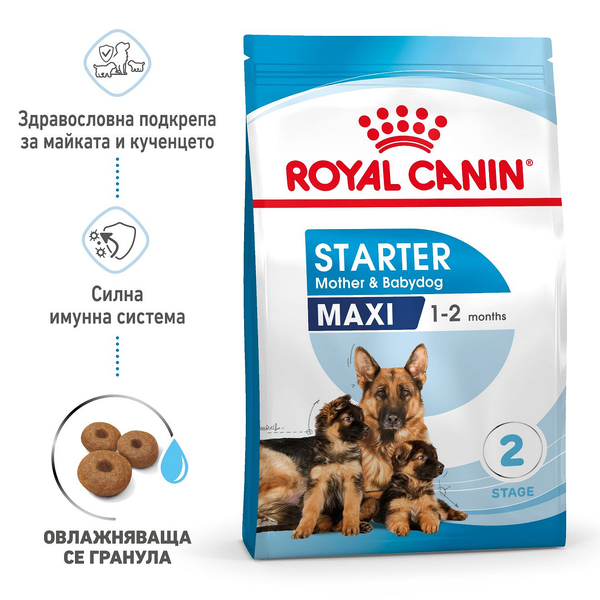 Royal Canin Maxi Starter 15kg