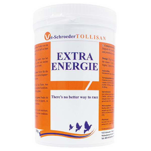 Extra Energy