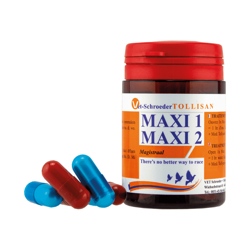Maxi I + Maxi II