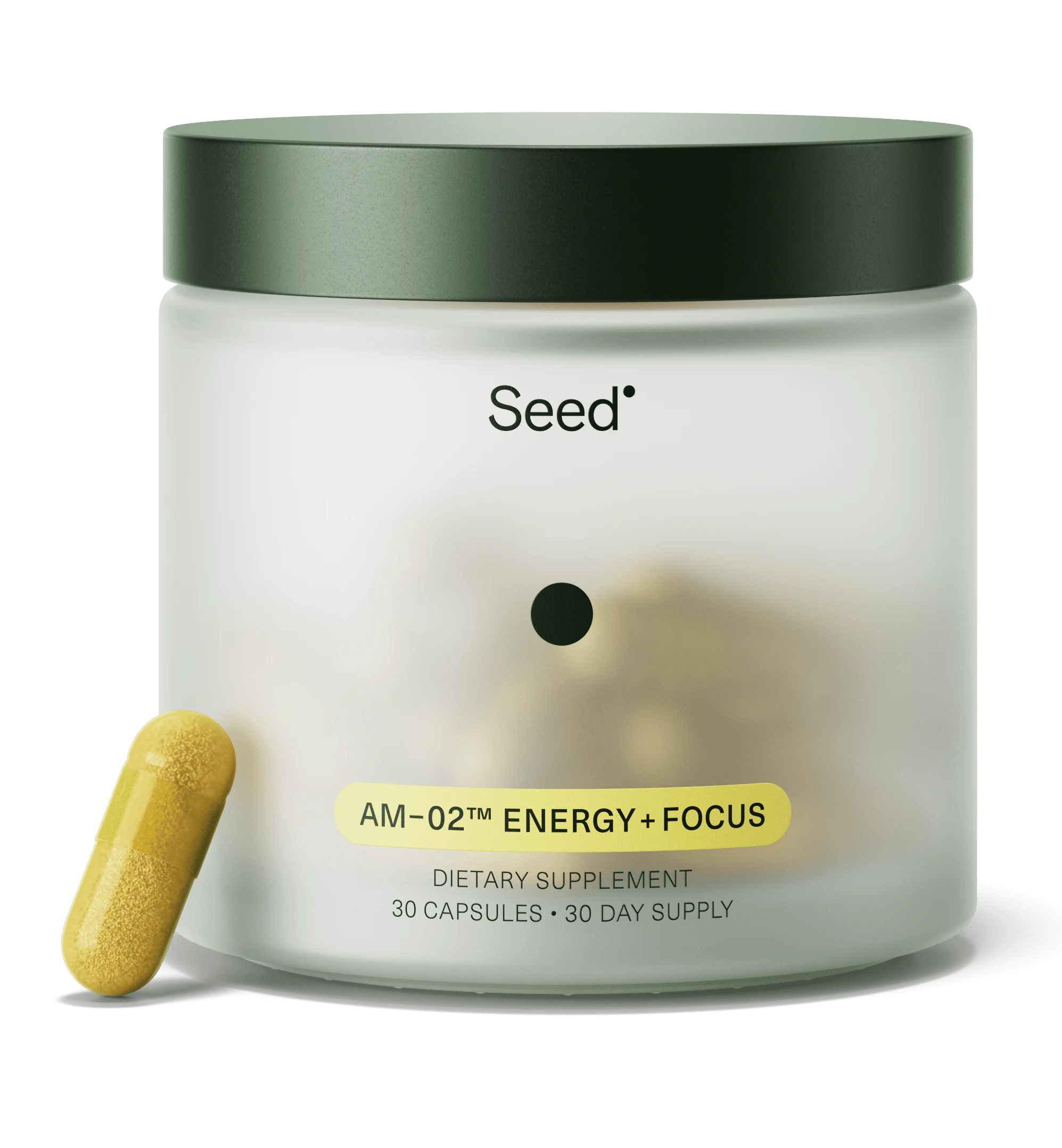 Seed Focus + Energy