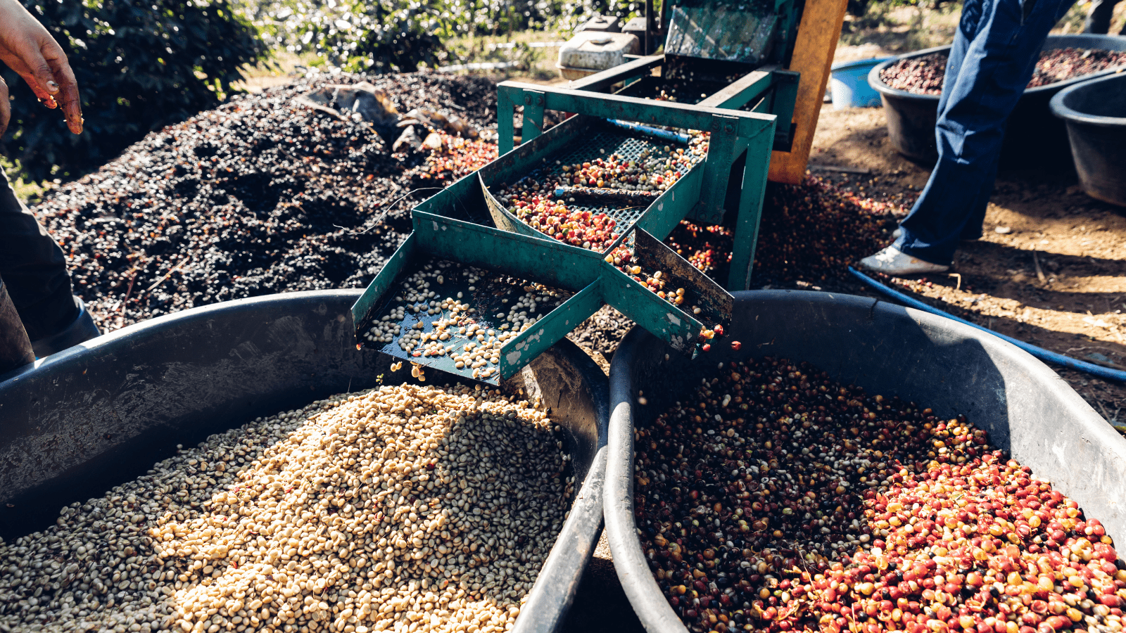 Изкуството на обработка на кафе