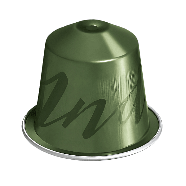 Nespresso® Master Origins INDIA - 10 капсули