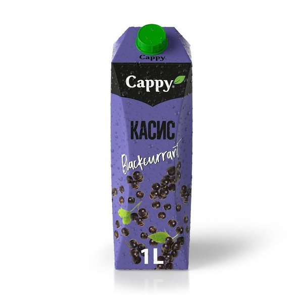 Нектар CAPPY Касис 25% 1л