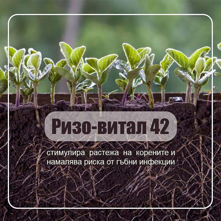 РизоВитал-42 при бактериални и гъбни фитопатогенни