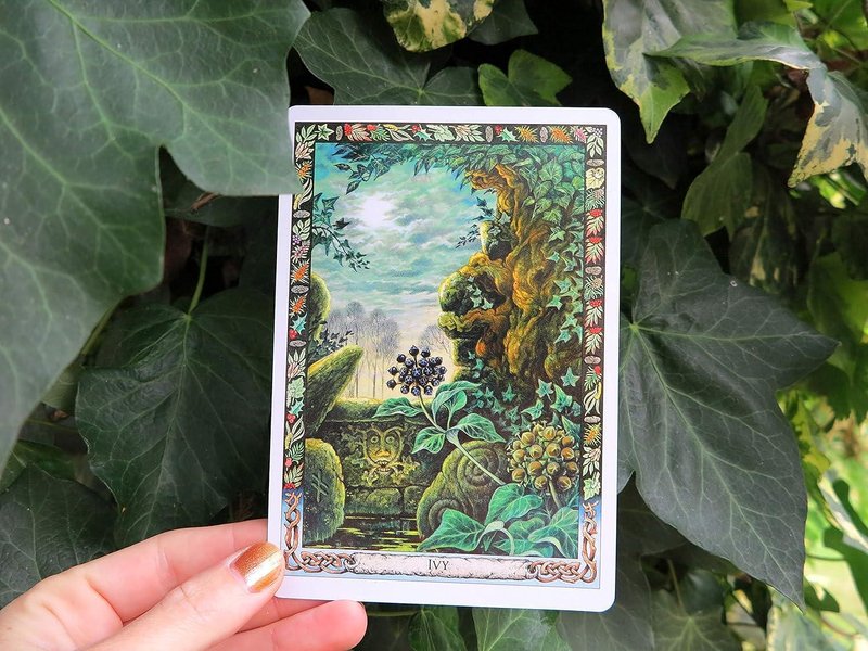 Оригинални карти Оракул Druid Plant Oracle - Stephanie Carr-Gomm