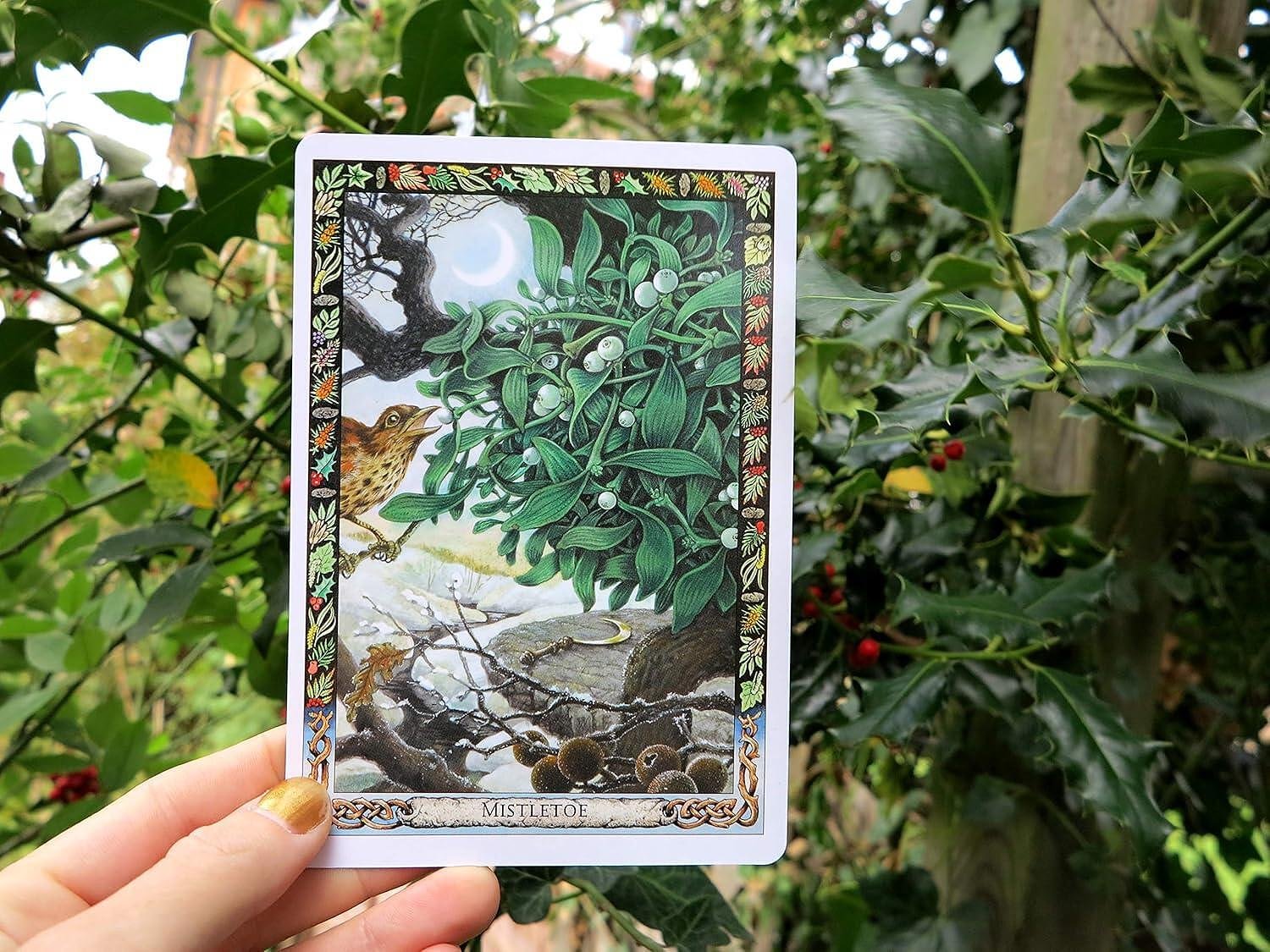 Оригинални карти Оракул Druid Plant Oracle - Stephanie Carr-Gomm