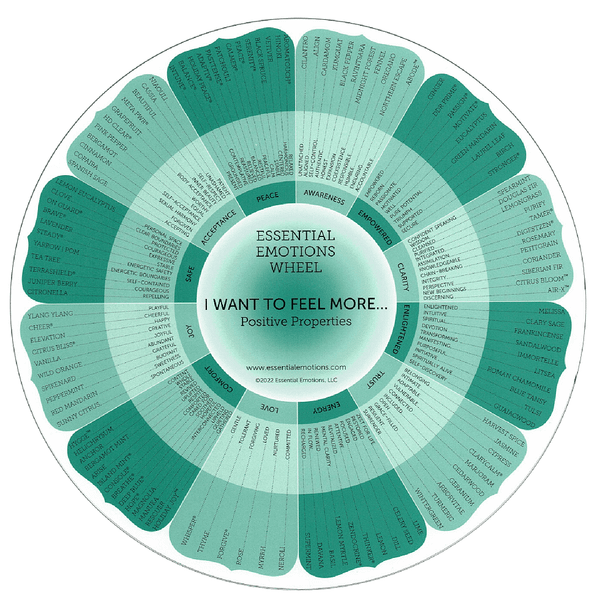 Еssential Emotions Wheel 2022, 11th Edition – English