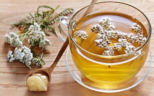 Bilkolechenie Билки Билколечение Лечение с билки Билкова аптека екстракти пакети и смеси