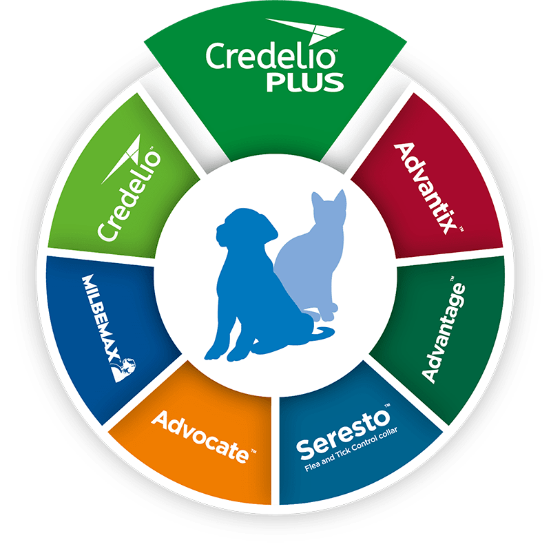 Credelio® PLUS таблетки за дъвчене 3 броя • Цена | Zoo Center