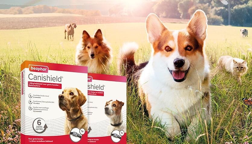 Beaphar Canishield противопаразитен нашийник 2 броя