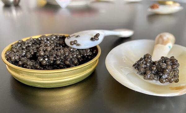 Хайвер Руска есетра