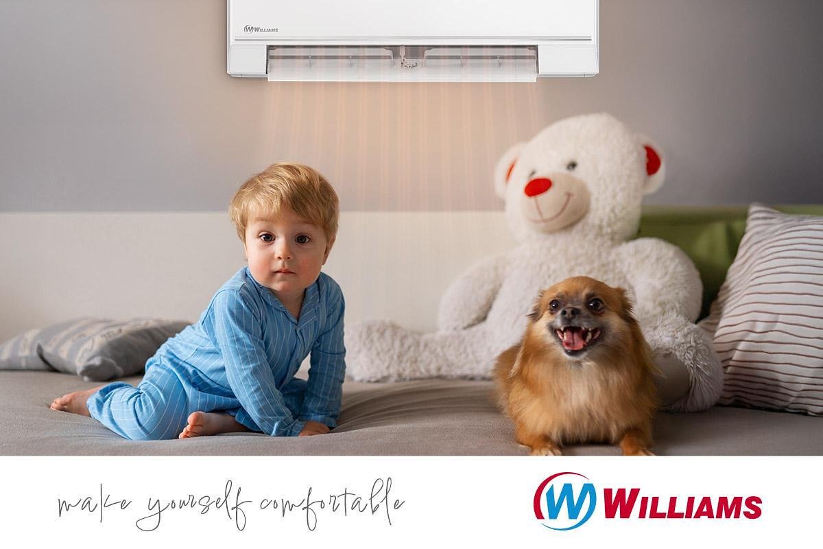 Williams air conditioners - efficiency, quality, reliability