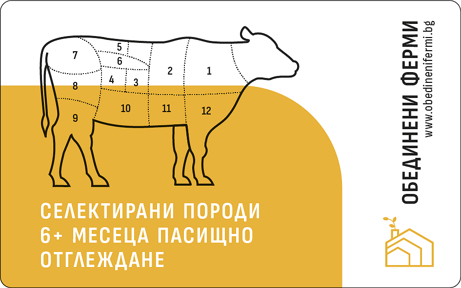 Свежа Саздърма от Младо Говеждо