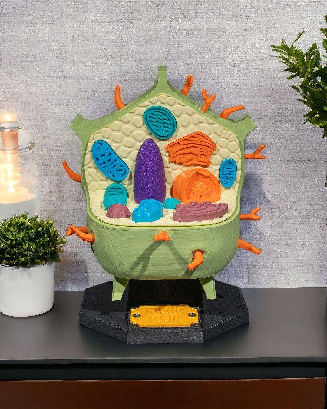 Растителна клетка 3D модел