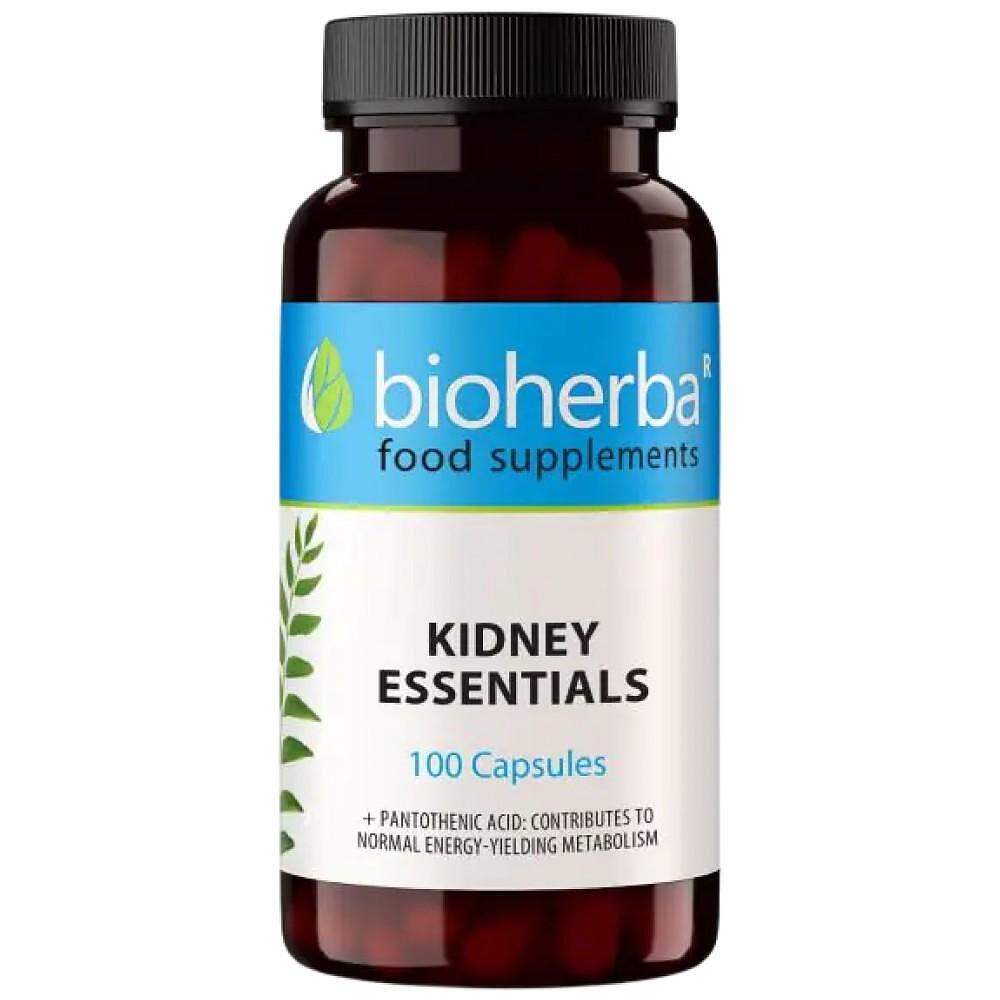 Kidney Essentials