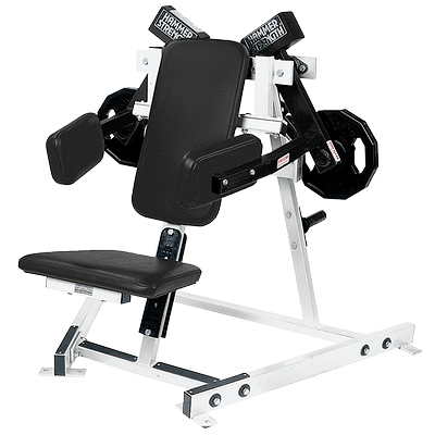 Plate-loaded Lateral Raise