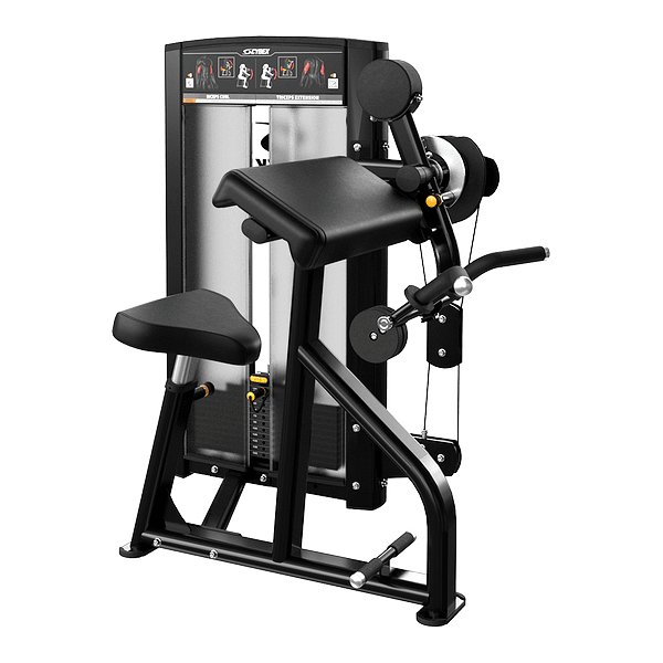 ION SERIES BICEPS / TRICEPS