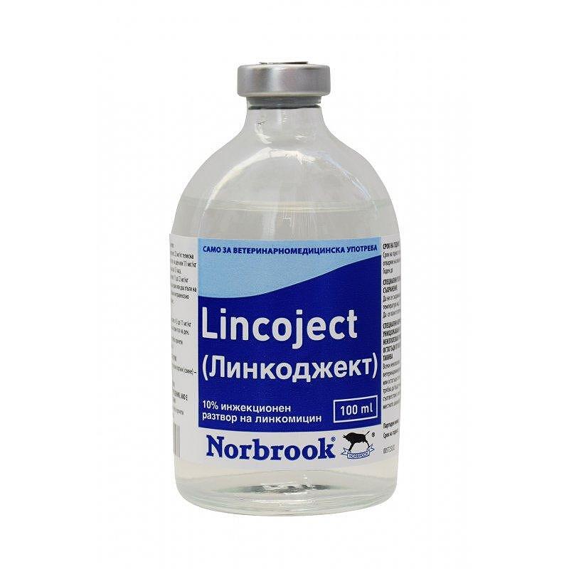 LINCOJECT 100 MG/ML LINCOMYCIN 100 ML
