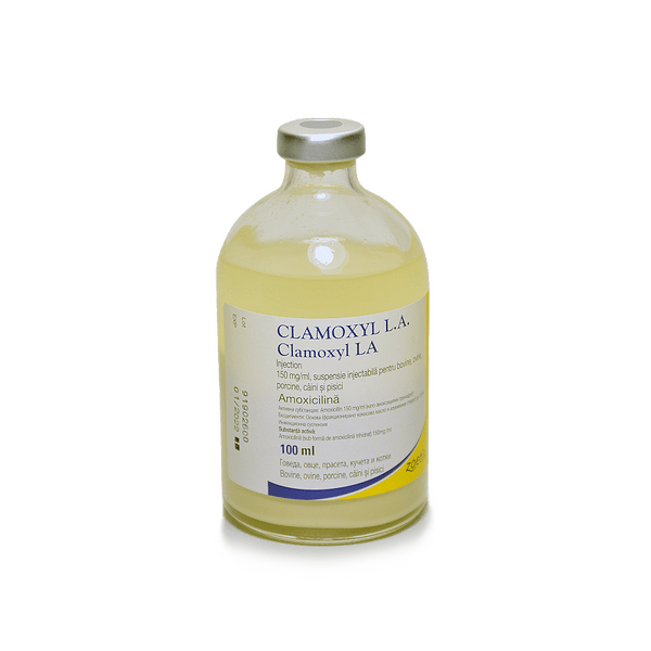CLAMOXYL 150 MG/ML AMOXICILLIN 100 ML