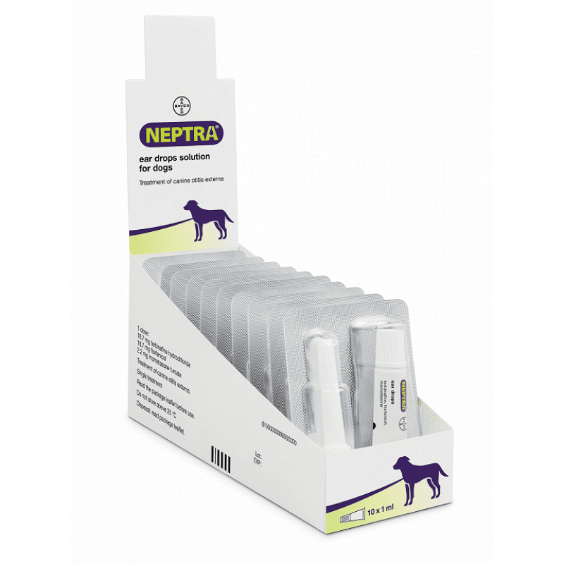 NEPTRA / 16.7 MG/ML FLORFENICOL, 16.7 MG/ML TERBINAFINE, 2.2 MG/ML ...