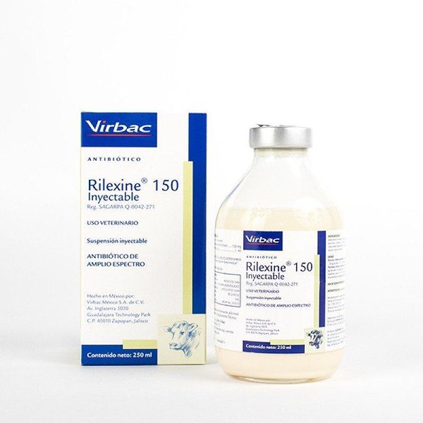 RILEXINE 150 MG/ML CEFALEXIN 250 ML