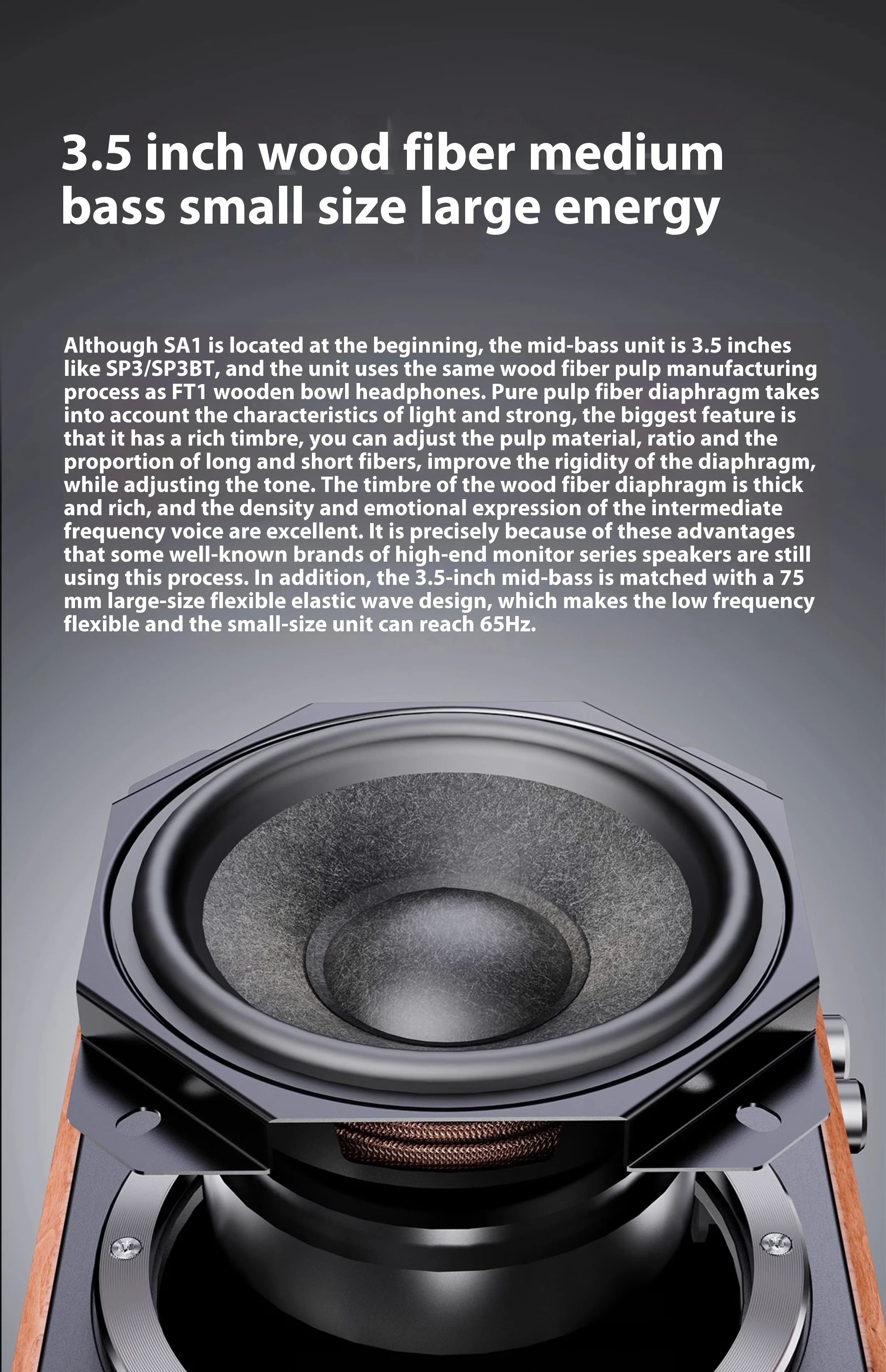 Fiio SA1 High-Fidelity Desktop Active Speaker | Fiio.eu