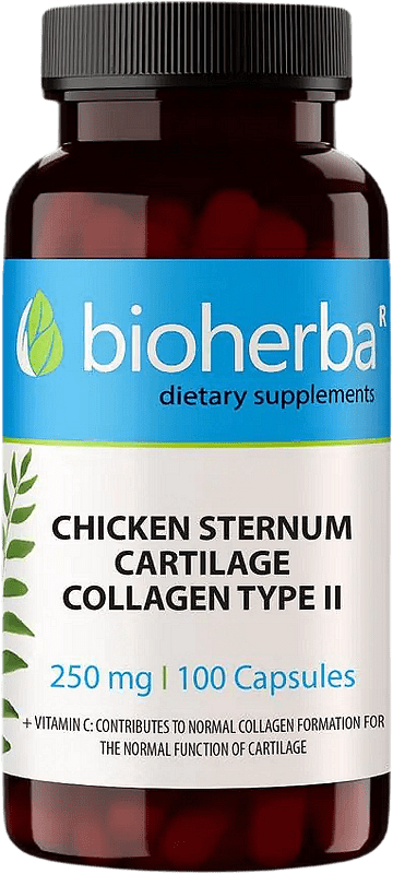 Chicken Collagen Type II