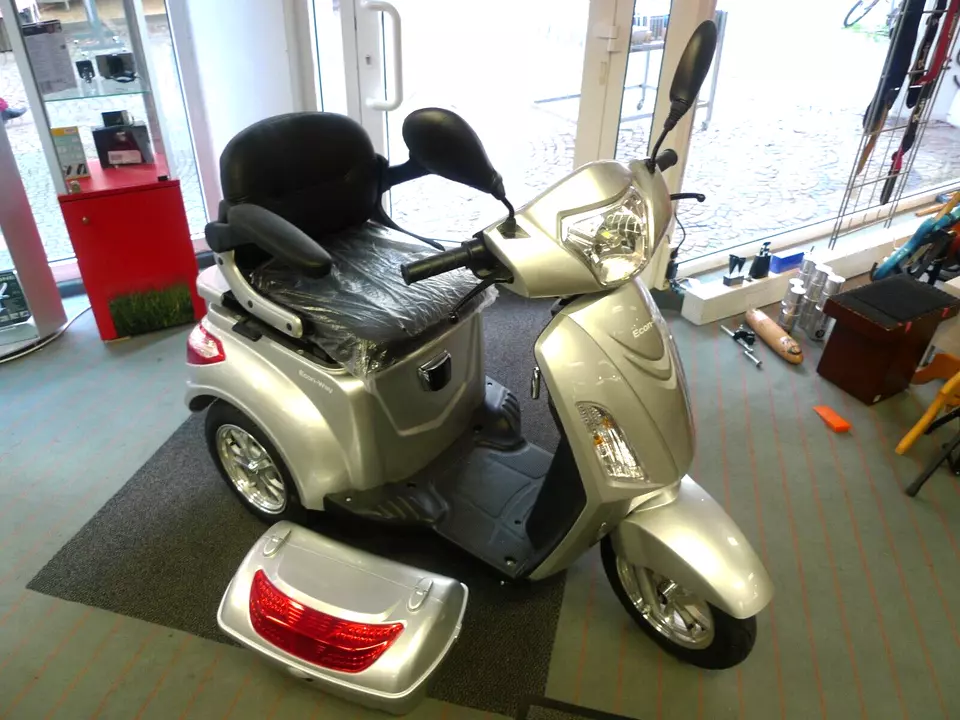 Електрическа триколка EcoWay Vista T408 -1