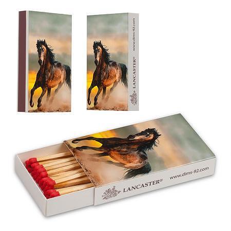 SM008: Кибрит кон