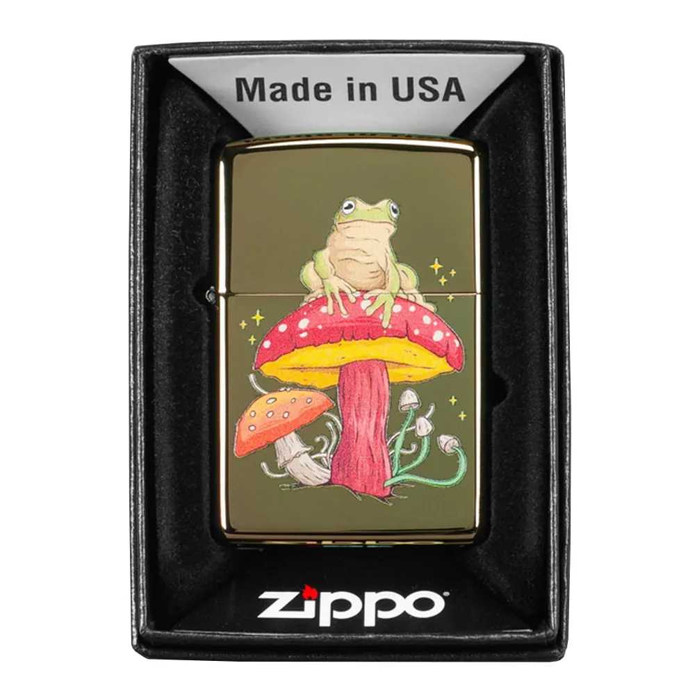 Запалка Zippo - Mystical Frog Design
