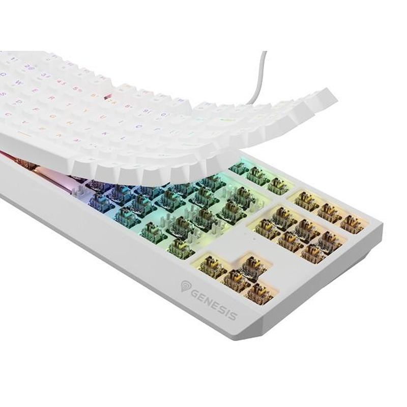 Genesis Gaming Keyboard Thor 230 TKL US RGB Mechanical Outemu Brown ...