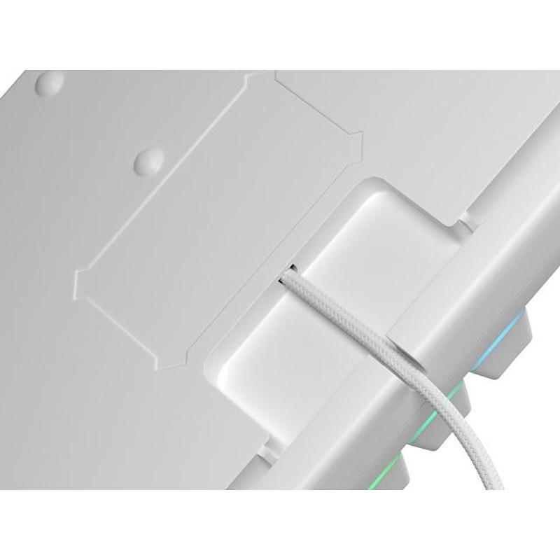 Genesis Mechanical Gaming Keyboard Thor 303 TKL RGB, Silent