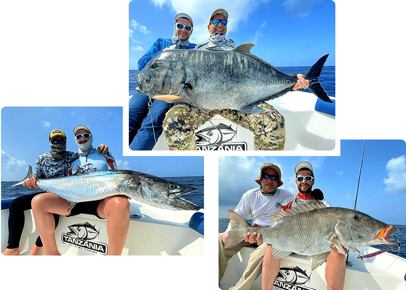 Viya Fishing- Риболовен магазин за макари, въдици, воблери, сонари