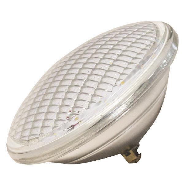 LAMP LED SMD PAR 56 IP68 20W 6500K 12V | Eurolamp LED