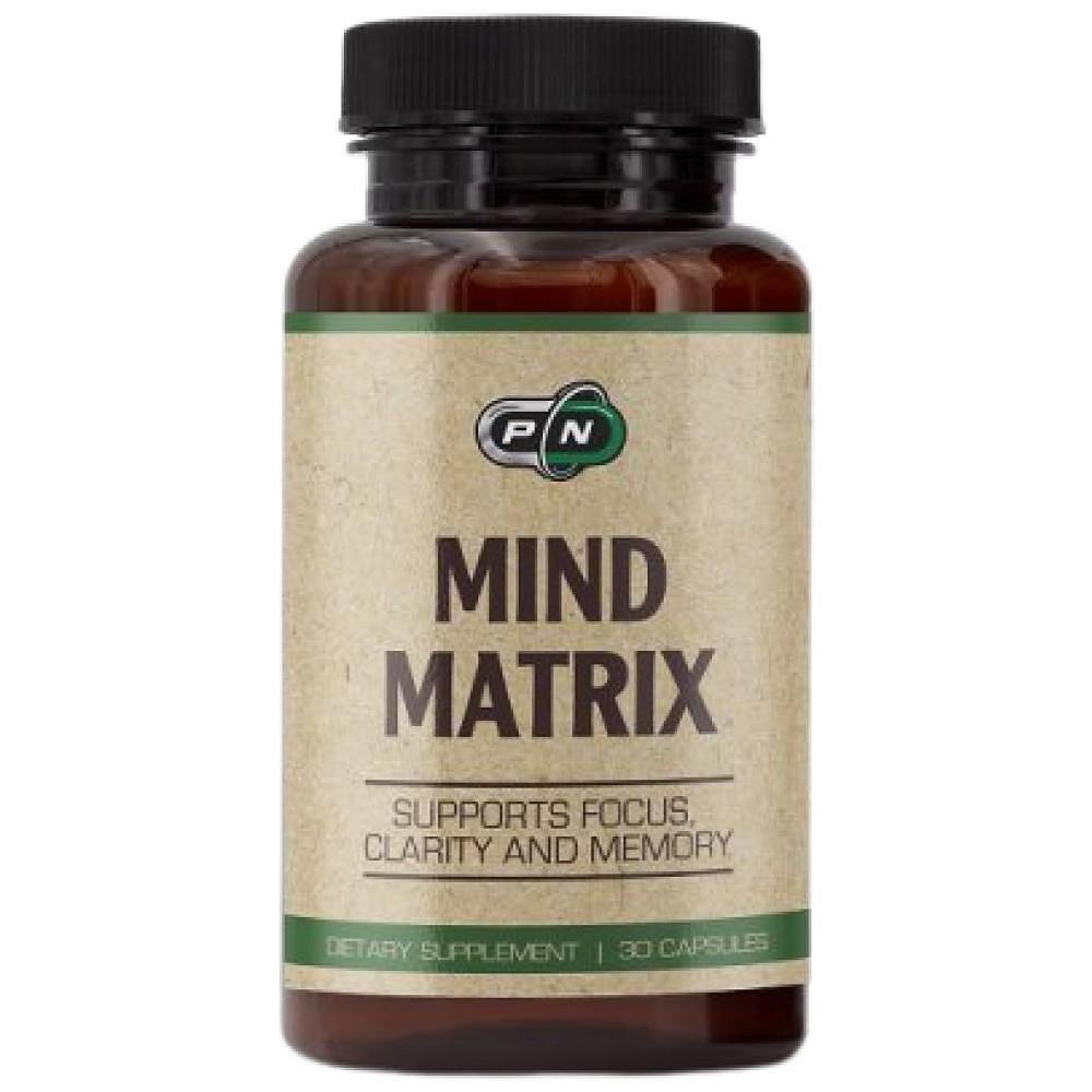 Mind Matrix