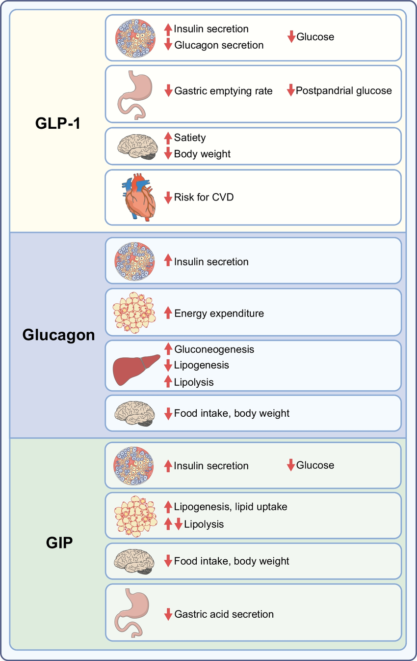 GLP‑1 агонисти – Клинични резултати за Semaglutide, Tirzepatide, CS10 ...